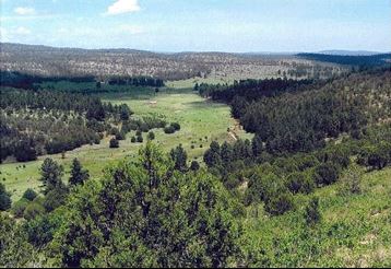 HEAVY QUILTS AT THE BLUE WATER RANCH IN WEED, NEW MEXICO